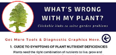 Pests, Diseases & Other Garden Problems – City Farming